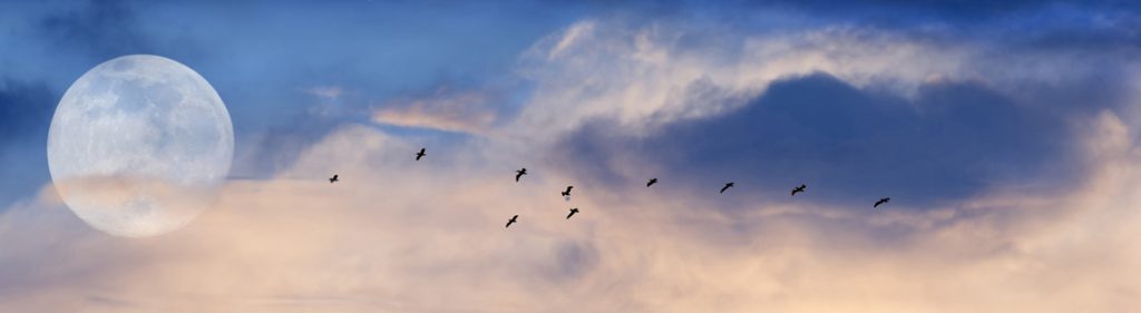 Becoming Who You Were Meant To Be | Mooncircles