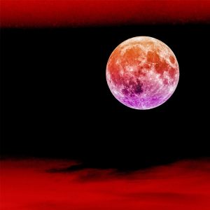 total eclipse | Mooncircles